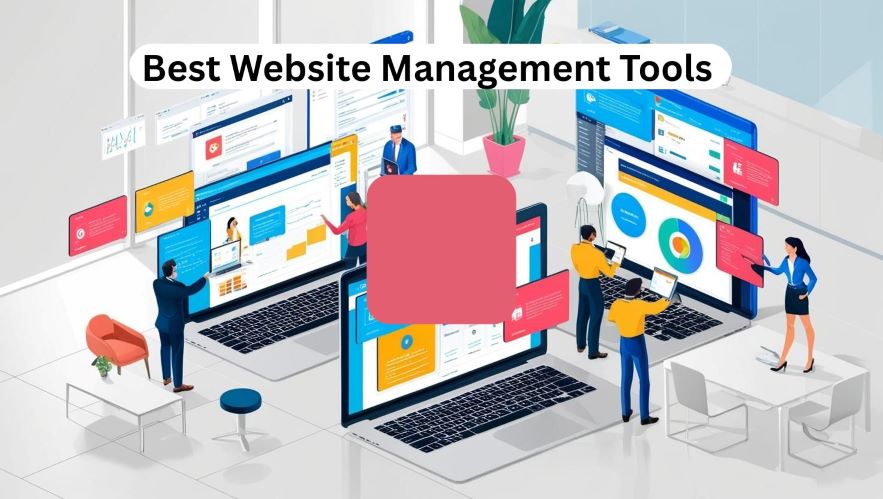 10 Must-Have Website Management Tools for Website Owners - SEOStudio